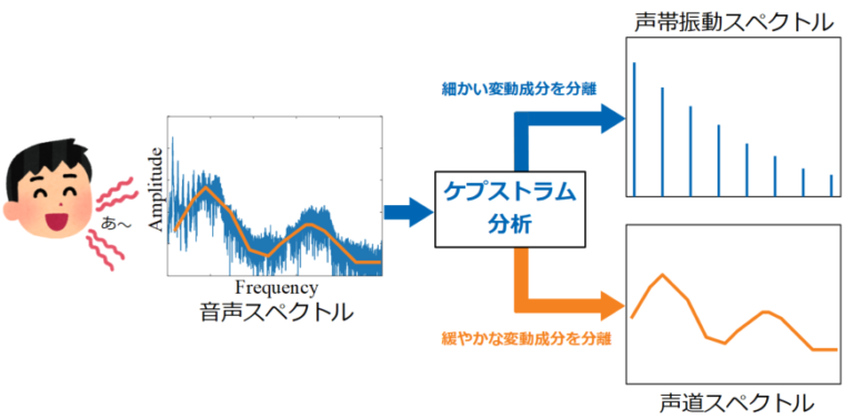 Pythonでケプストラム分析音声から声帯情報を取得してみた Watlab