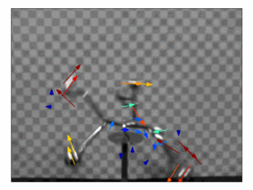 other-movie-piv | WATLAB -Python, 信号処理, 画像処理, AI, 工学, Web-